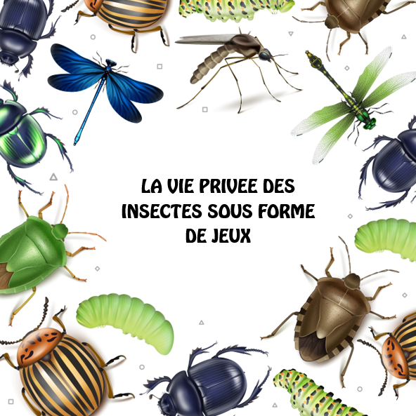 La vie privée des insectes sous forme de jeux ! - Izadia